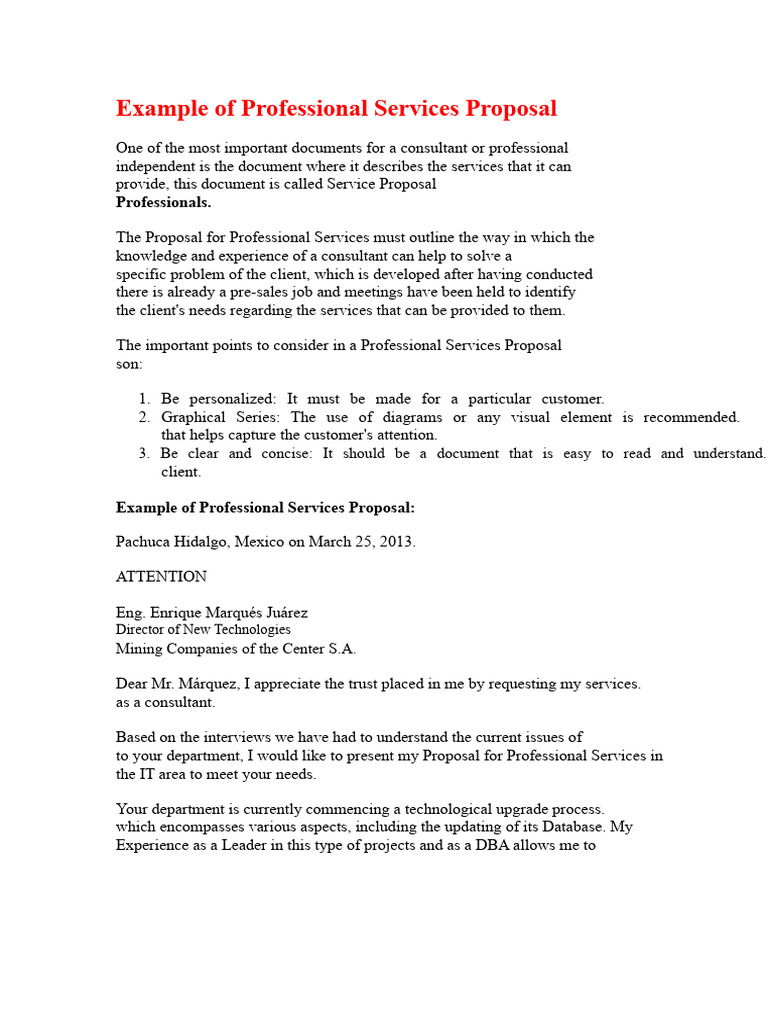 Example of Professional Services Proposal | PDF