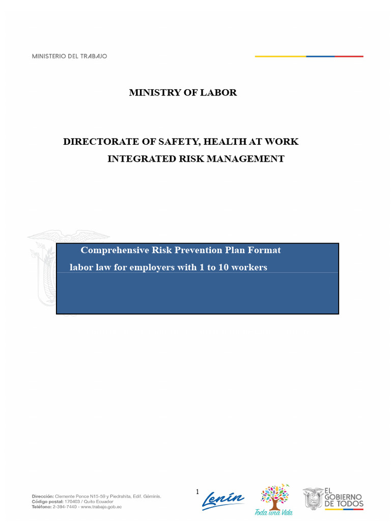 Comprehensive Plan For Occupational Risk Prevention | PDF ...