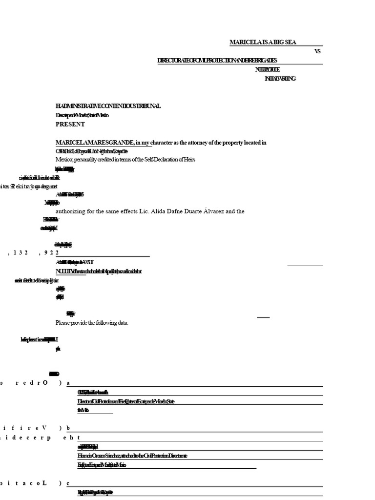 Initial Written Statement For Nullity Trial | PDF