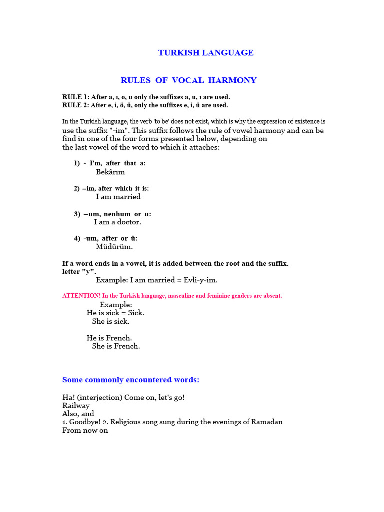 Turkish Language 1 Grammar Concepts of The Turkish Language | PDF