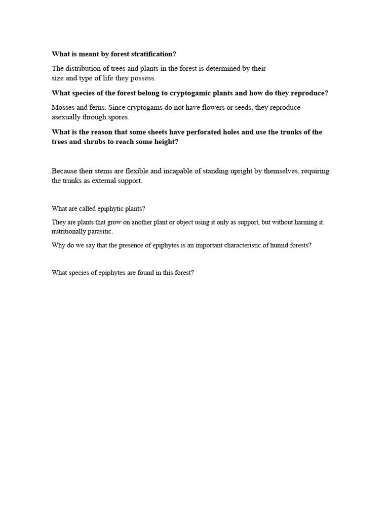 What Is Forest Stratification? | PDF