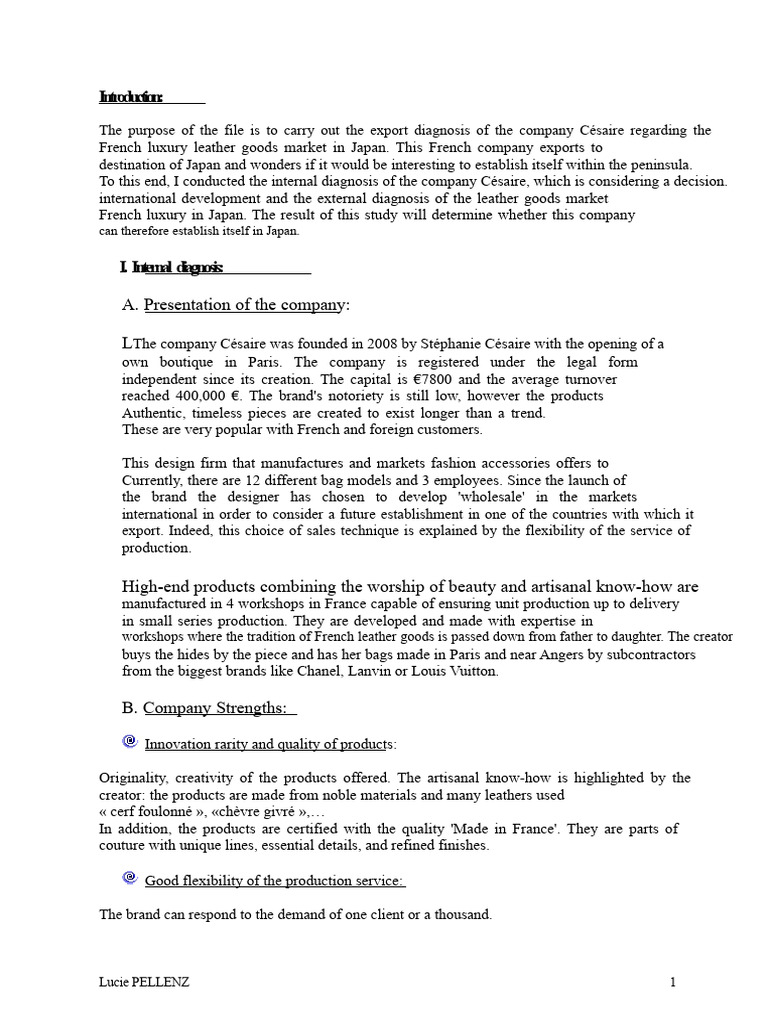 Case Study Diagnostic Export Company Cesaire for Export to Japan | PDF ...
