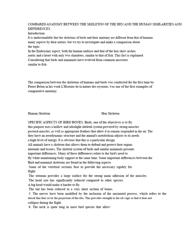 Chicken and Human Skeleton Comparison | PDF | Skeleton | Bone