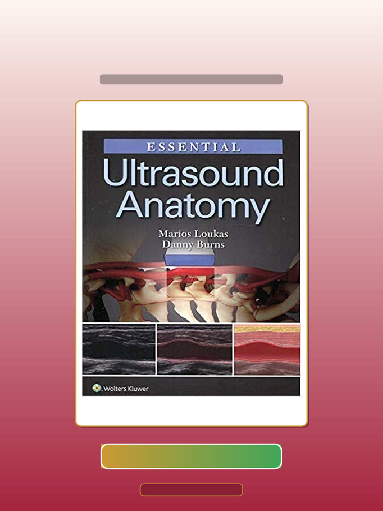 Essential Ultrasound Anatomy First Edition Unlocked Test Bank | PDF ...