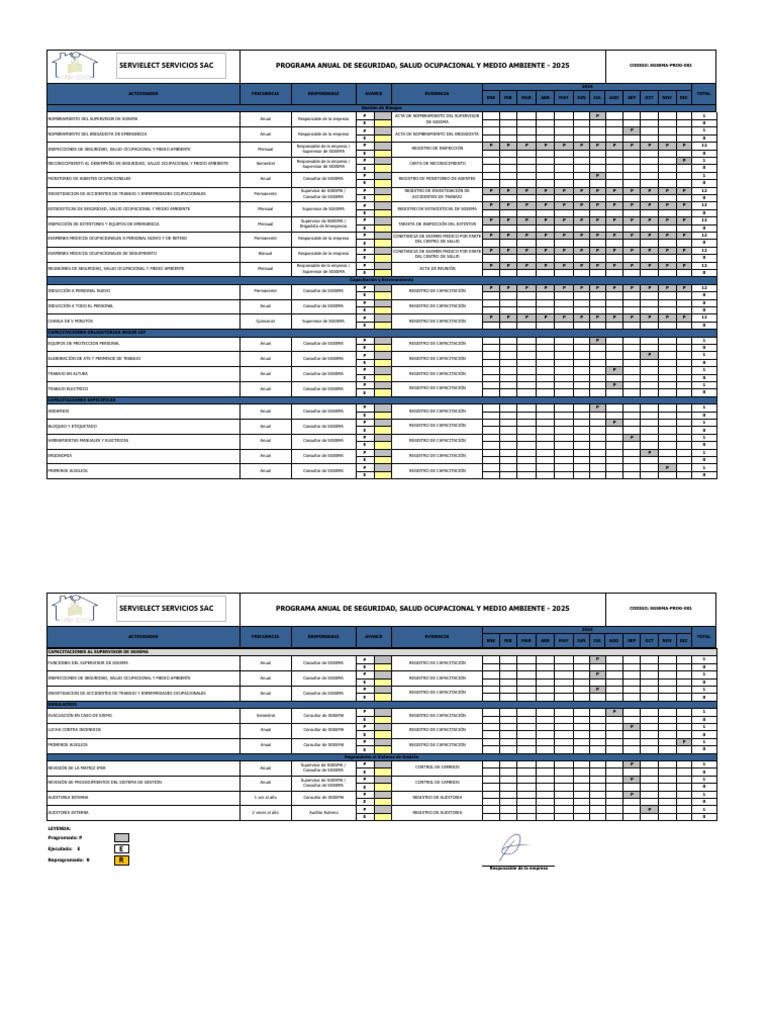 Programa Anual de SST-2025 | PDF | Auditoría | La seguridad