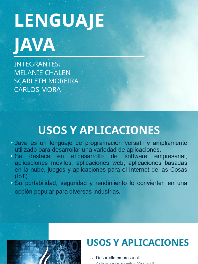Lenguaje Java | PDF | Software de la aplicacion | Internet de las Cosas