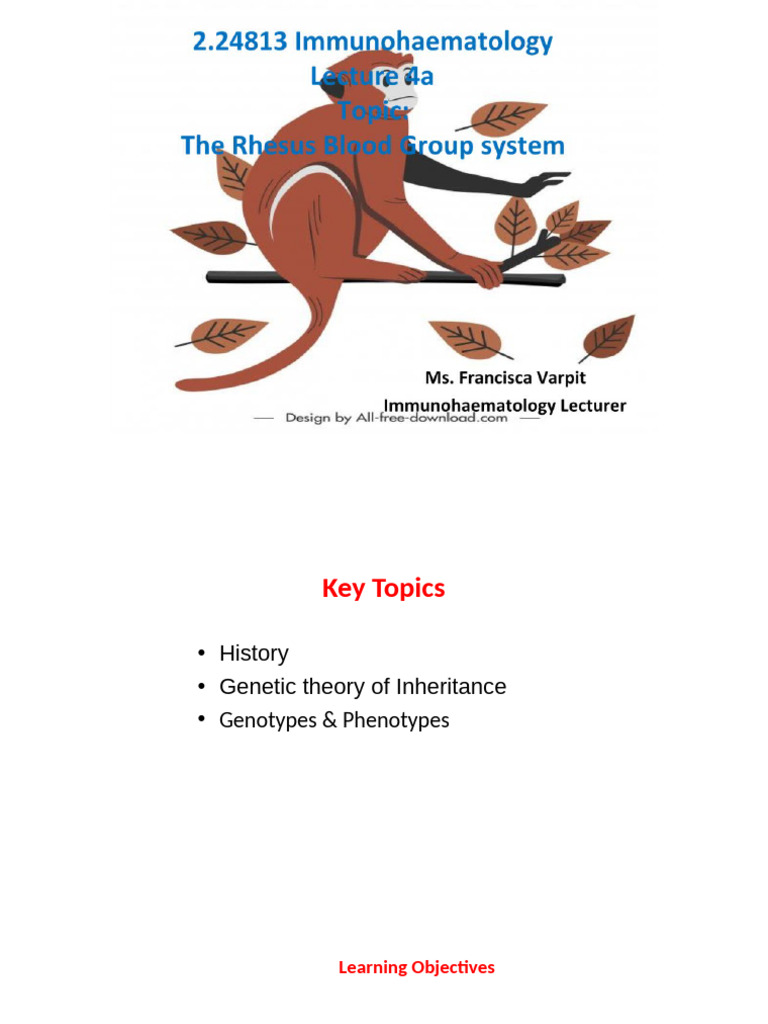 Rh Blood Group System Overview | PDF | Blood Type | Genetics
