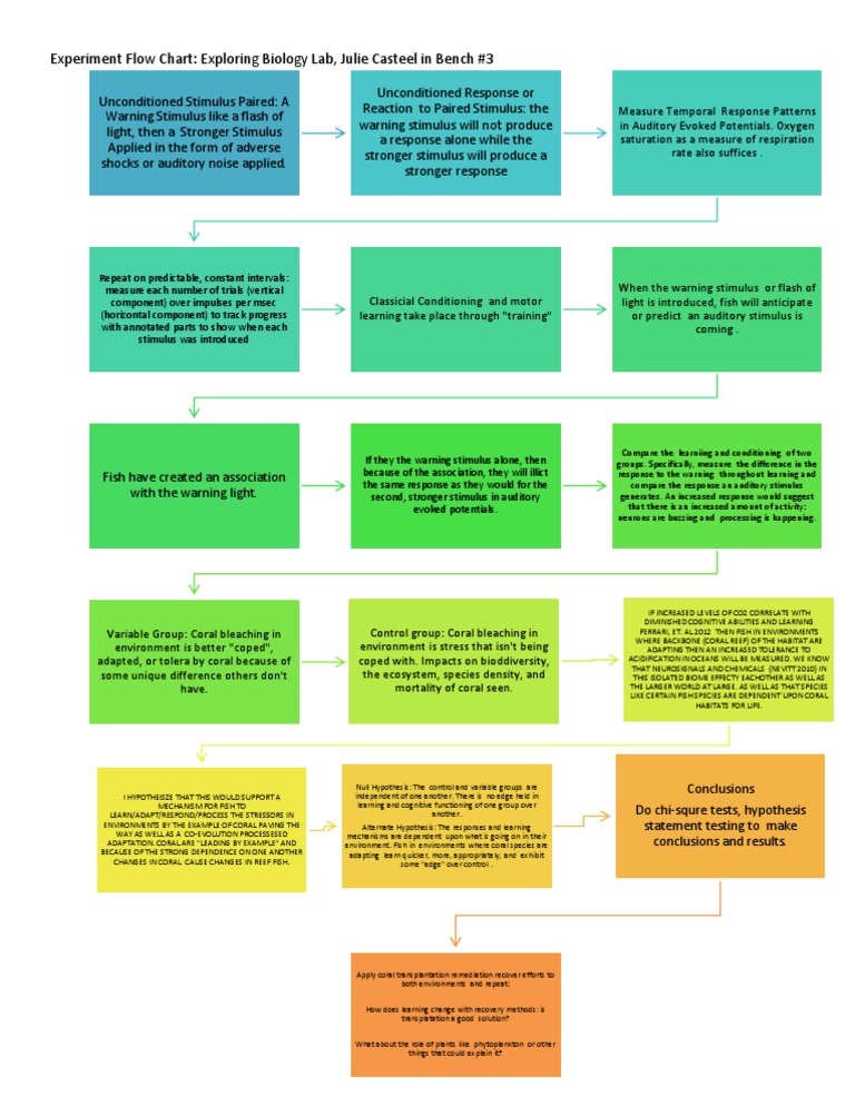 Experiment Flow Chart: Exploring Biology Lab, Julie Casteel in Bench #3 ...