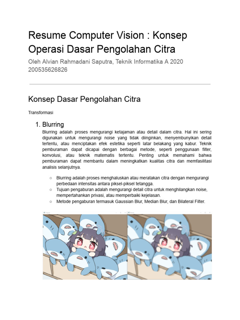 Resume Computer Vision - Konsep Dasar | PDF