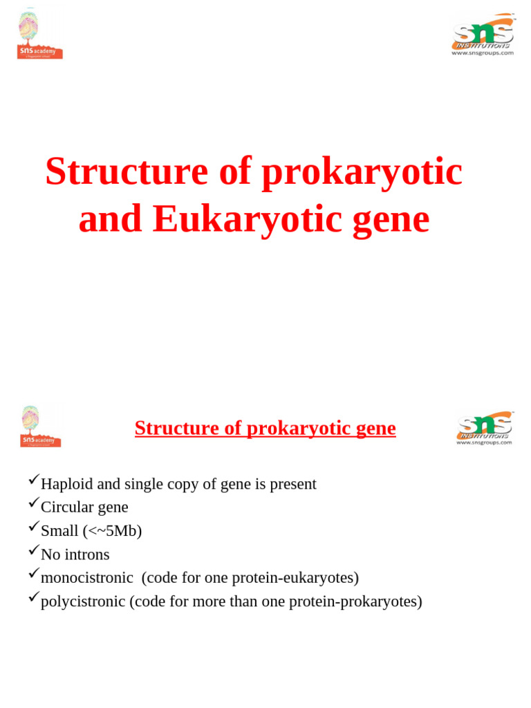 Prokaryotic and Eukaryotic Gene Structure | PDF | Prokaryote | Health ...