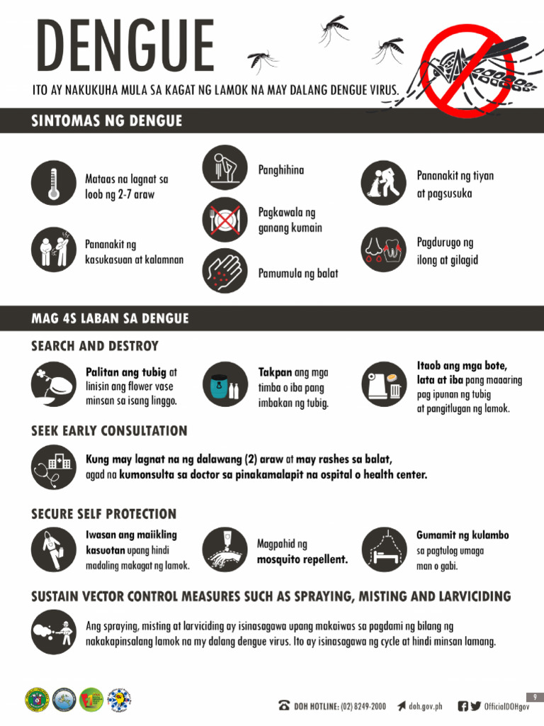 Dengue Iec | PDF