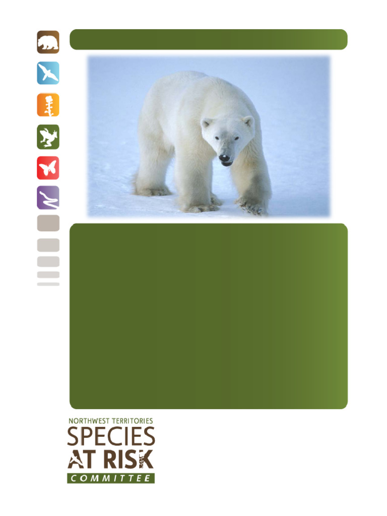 Polar Bear NWT Status Report Dec 2012 0 | PDF | Polar Bear | Sea Ice