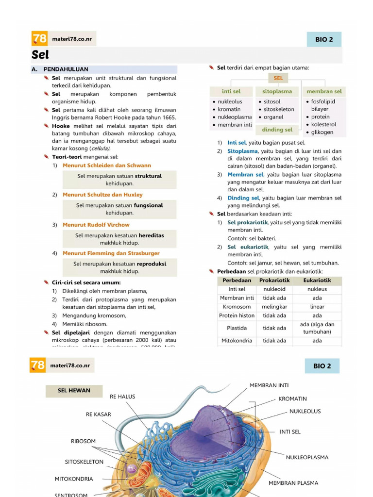 Biologi Struktur Sel Pdf