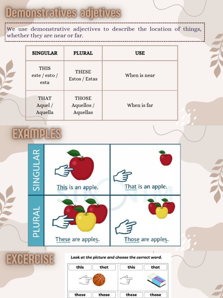 Demonstrative S | PDF