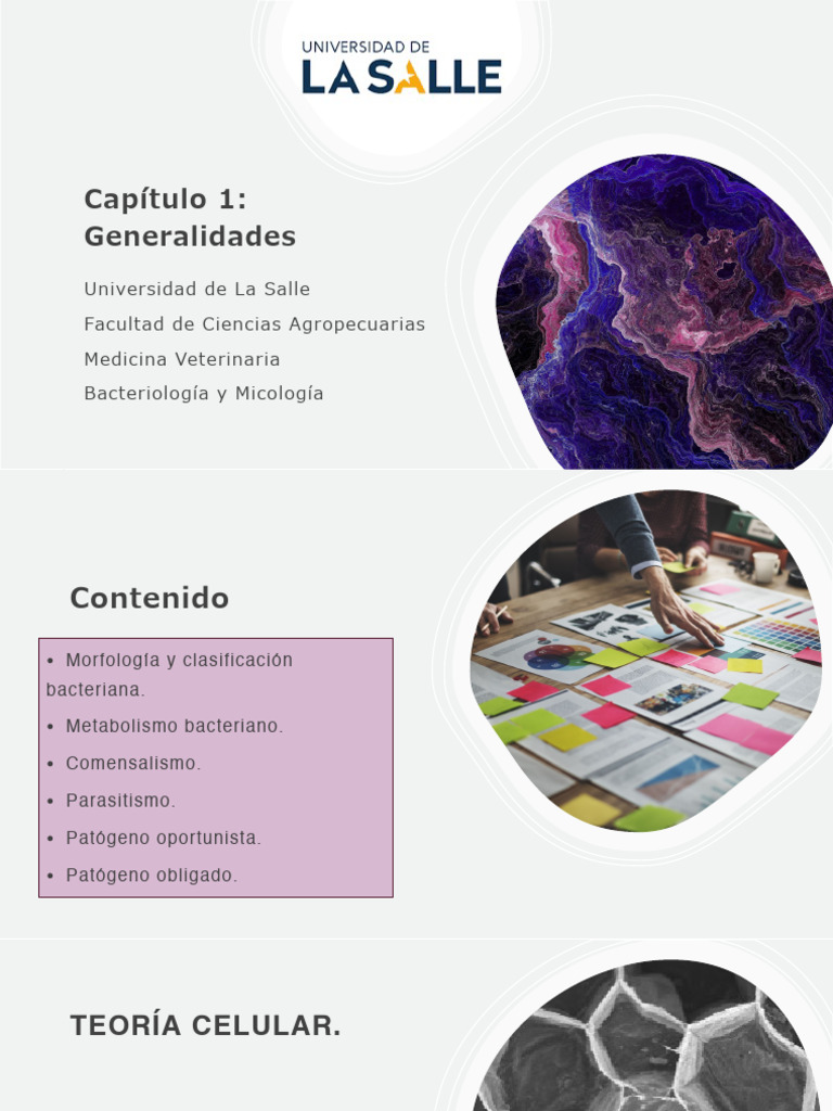 Capítulo 1. Generalidades | PDF | Respiración celular | Glucólisis