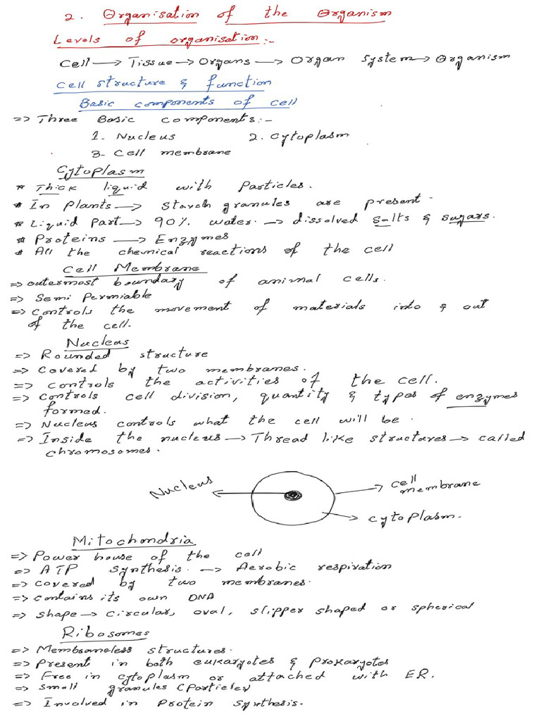 Cell Structure 1 | PDF