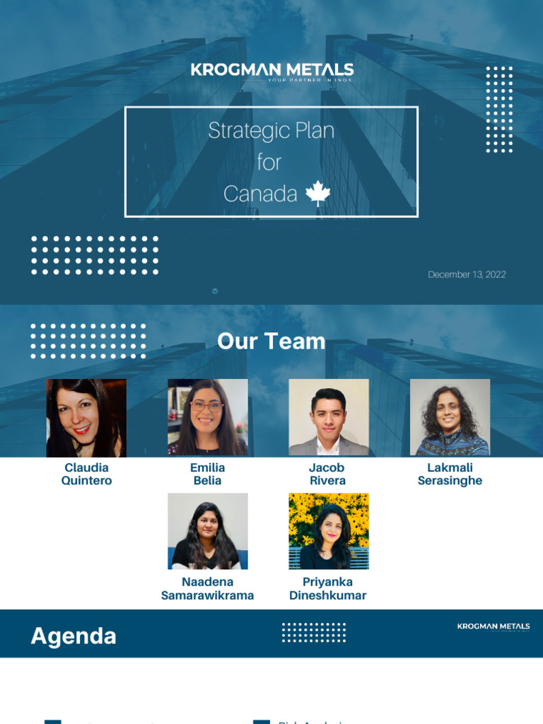 Krogman Metals - Strategic Plan - Team 4 | PDF | Imports | Market (Economics)