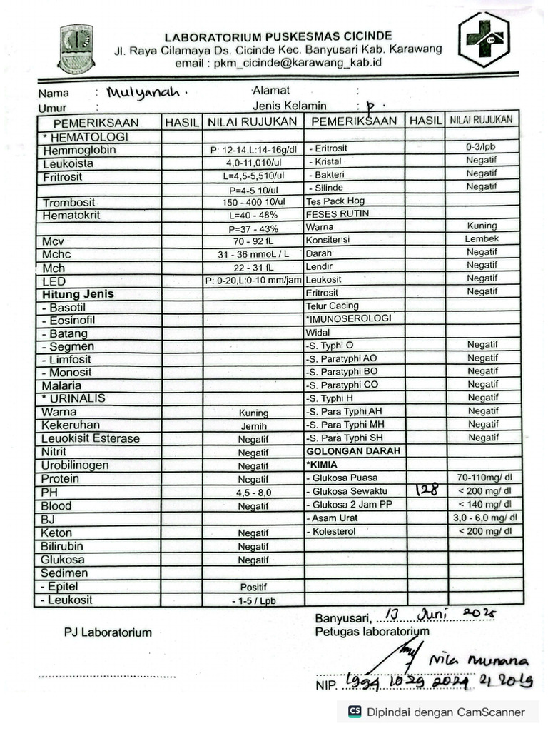 Hasil Lab Mulyanah Juni | PDF