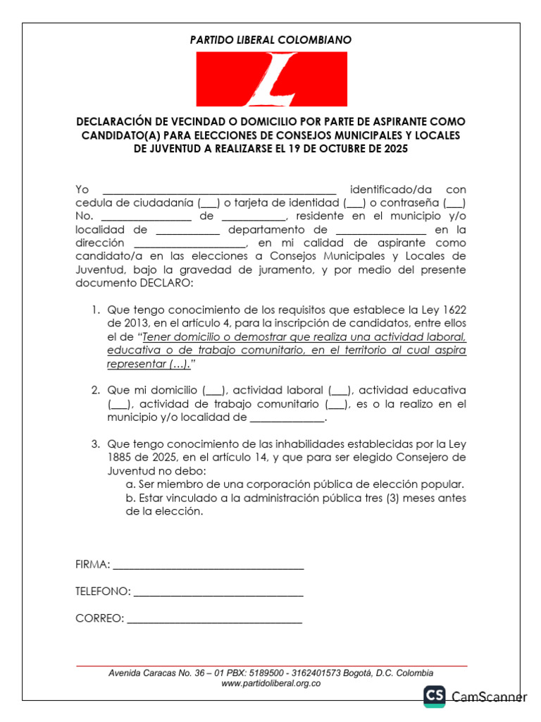 Formato Declaracion CMJ 2025 | PDF