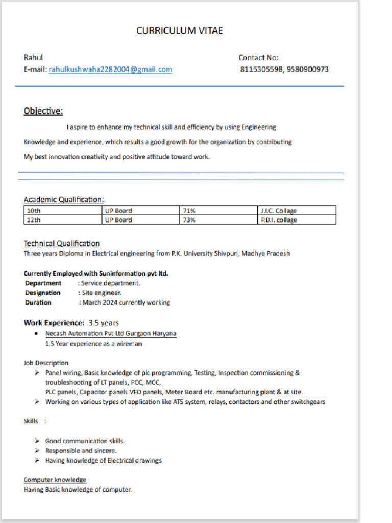 Curriculum Vitae | PDF