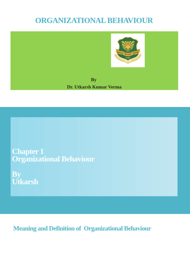 Organisational Behavior | PDF | Organizational Behavior | Unconscious Mind