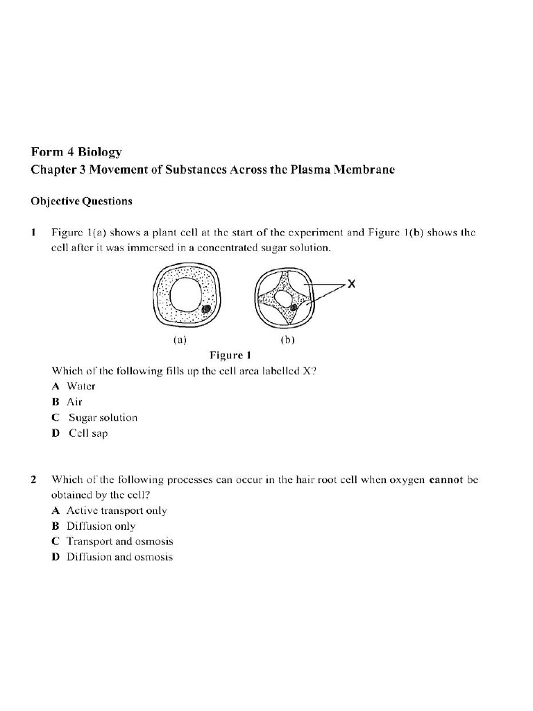 Short Exercise Chapter 3 (QUES) | PDF