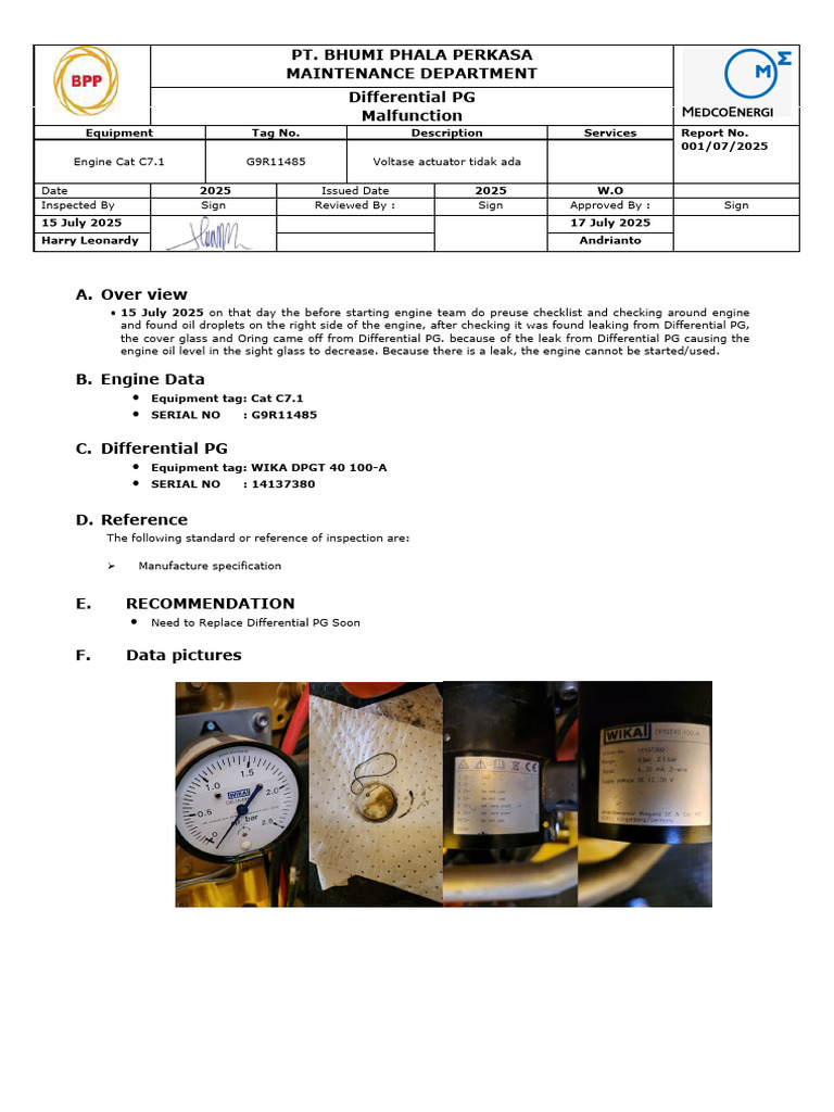 Investigation Report - Differential PG | PDF