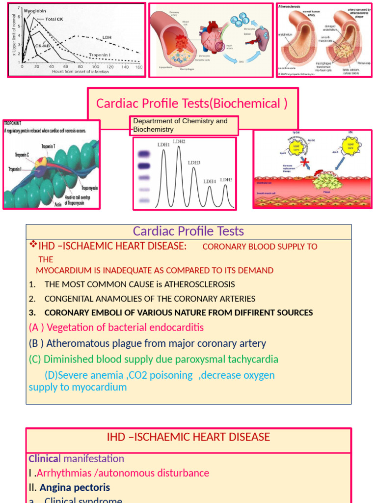 Cardiac Profile Tests Overview | PDF | Lipoprotein | Lactate Dehydrogenase