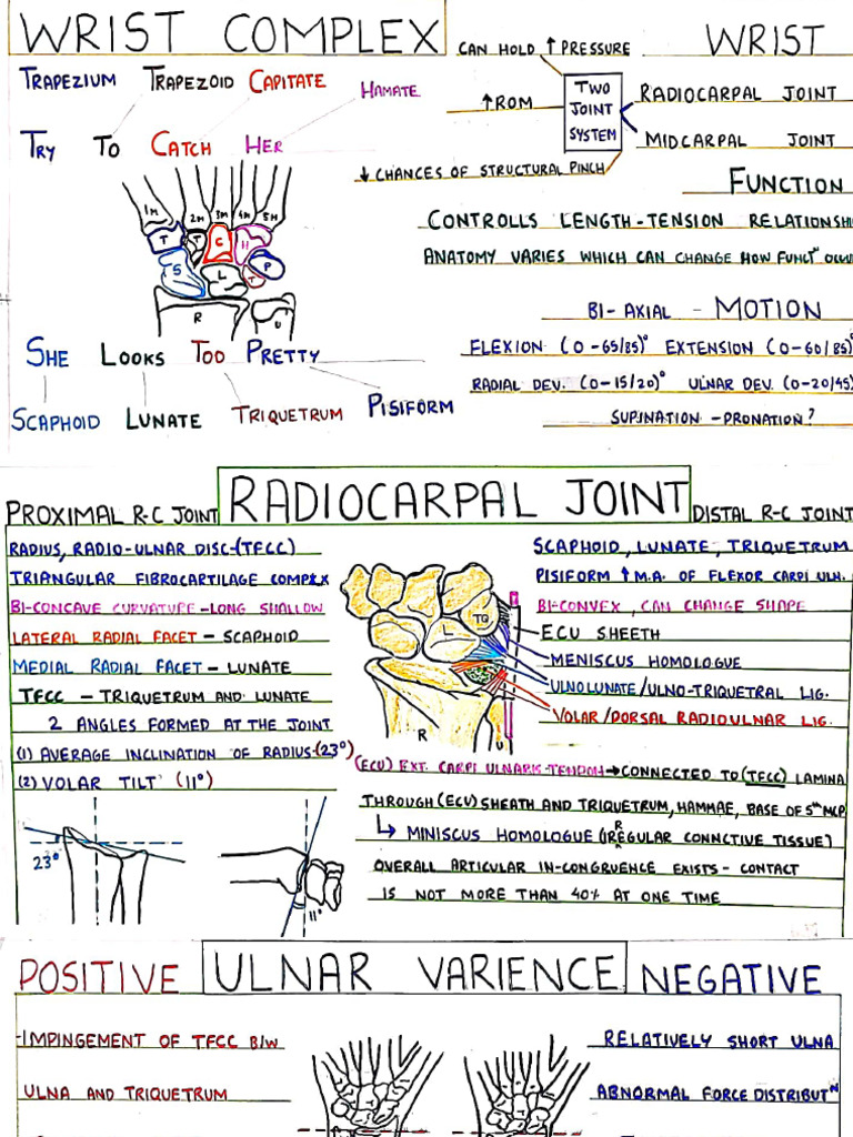 Wrist Hand Biomechanics | PDF