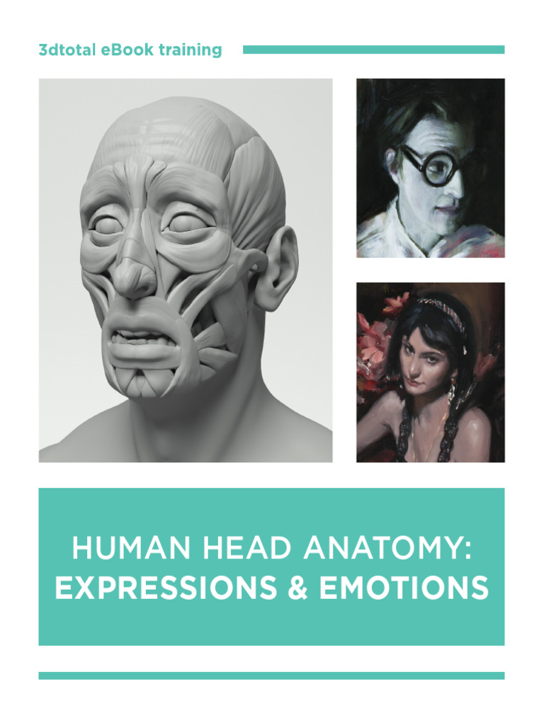 Human Head Anatomy: Emotions Explained | PDF | Smile | Lip