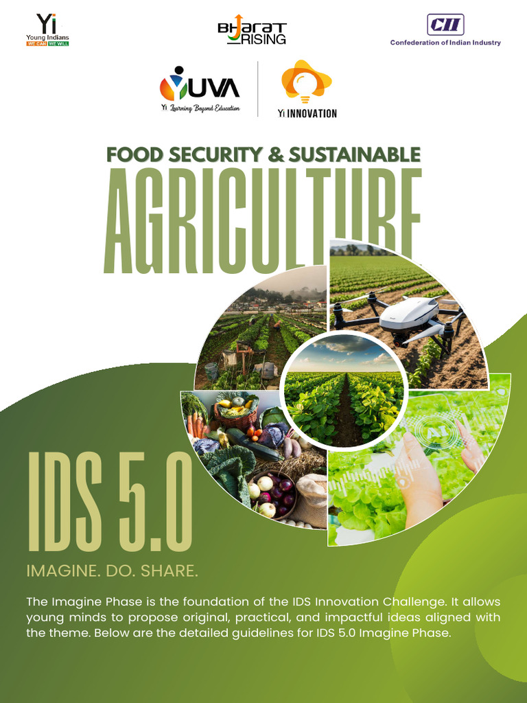 IDS5 Imagine Guidelines Document | PDF