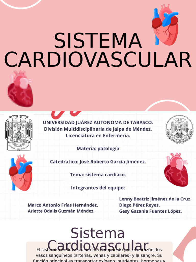 Guía Completa del Sistema Cardiovascular | PDF | Infarto de miocardio ...