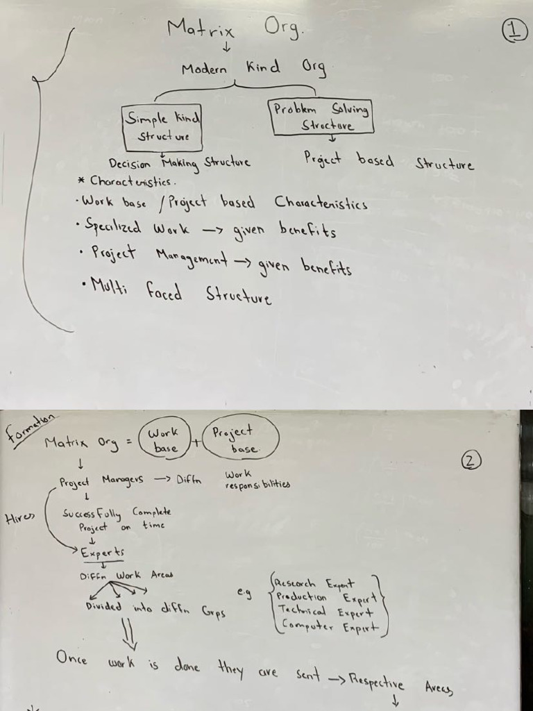 Matrix Organisation Ch-4 OCM | PDF