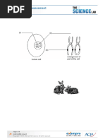 Human Karyotyping Activity | PDF | Karyotype | Chromosome