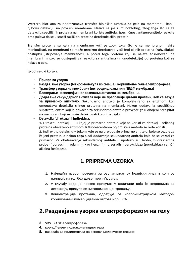 Western Blot Analiza | PDF