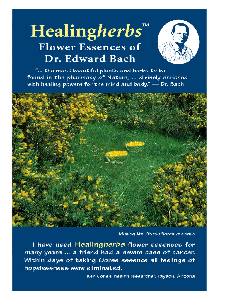 Healingherbs - Flower Essences of Dr. Edward Bach Autor Patricia ...