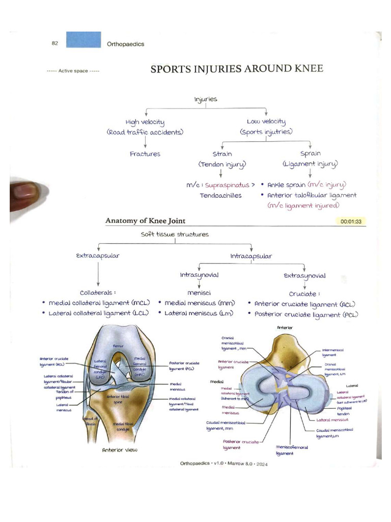 Ortho @marrow Ed8 Notes 2024 Export | PDF