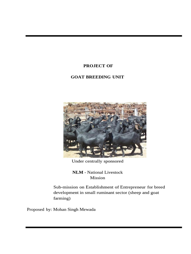 100 Goat Unit Final DPR | PDF | Goat | Agriculture
