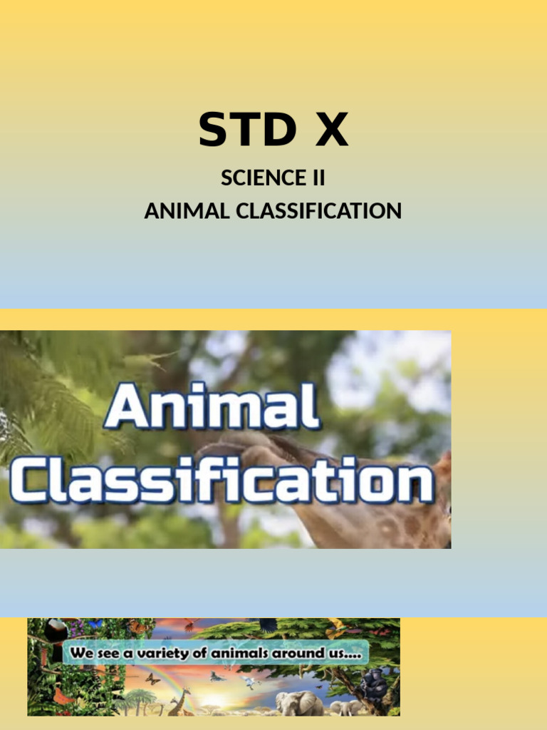 Animal Classification | PDF | Tissue (Biology) | Anatomy