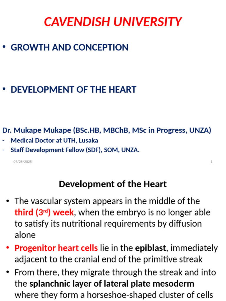 Heart Development and Septation Process | PDF | Atrium (Heart) | Heart