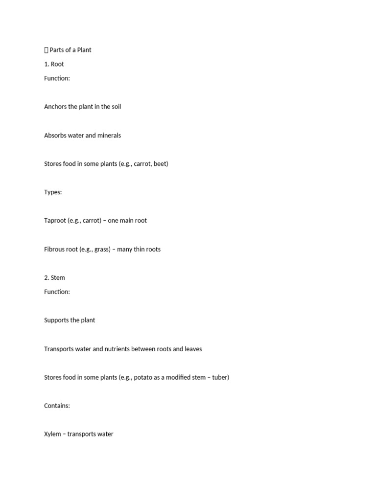 ? Parts of A Plant Notes | PDF