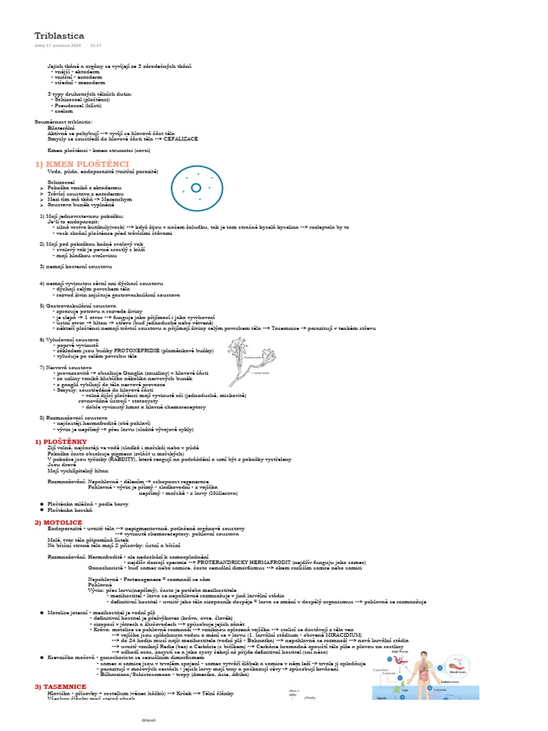 Tri Blastic A | PDF