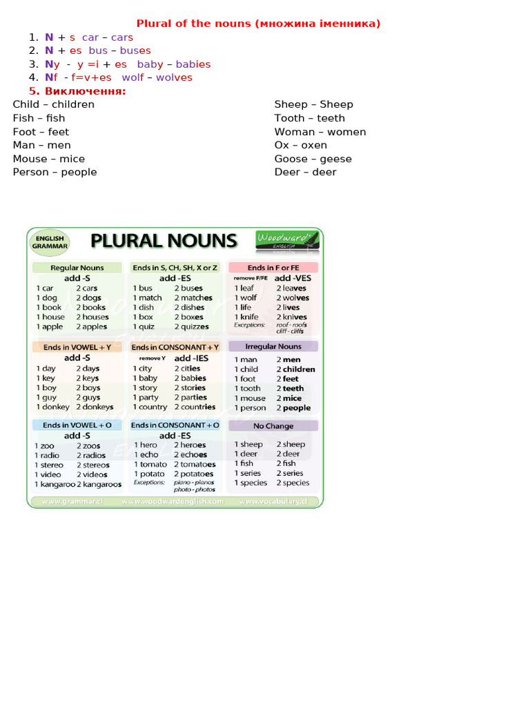 Plural Noun Formation Rules | PDF