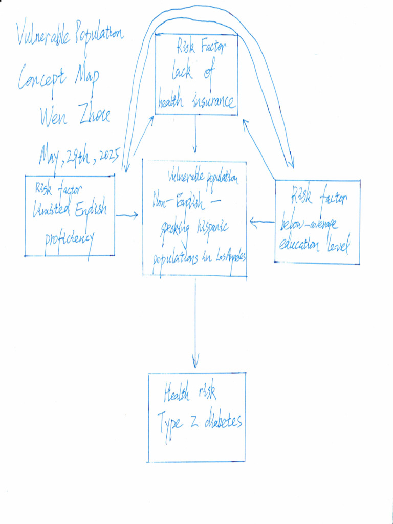 Wen Zhou Vulnerable Population Concept Map | PDF