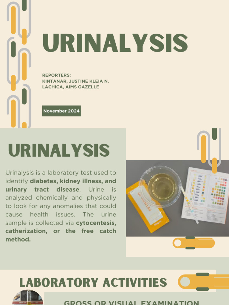 Urinalysis | PDF | Urine | Clinical Medicine