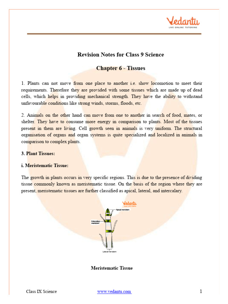 Cbse Class 9 Science Notes Chapter 6 Tissues | PDF | Tissue (Biology ...