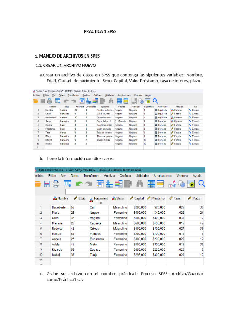 Practica 1 Spss | PDF