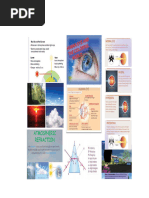Human Eye E-Lesson Plan for 8th Grade | PDF | Eye | Human Eye