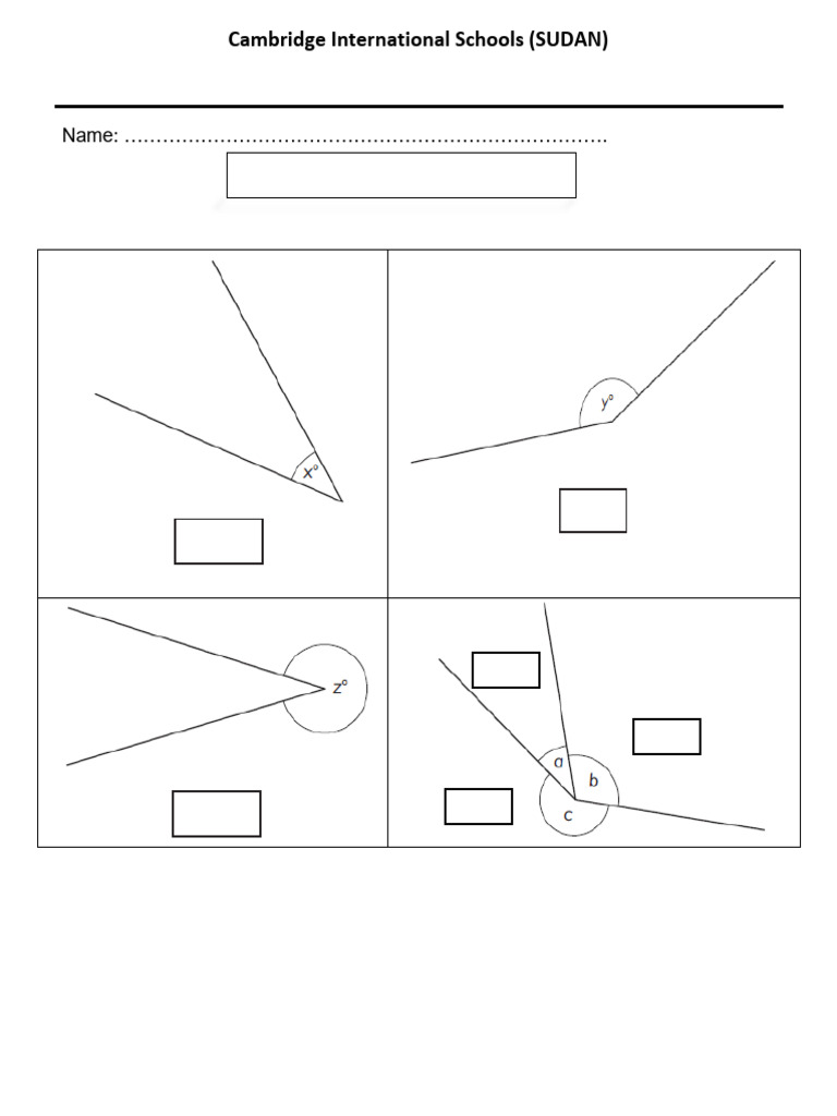 Grade 6 Angle Measurement Homework | PDF