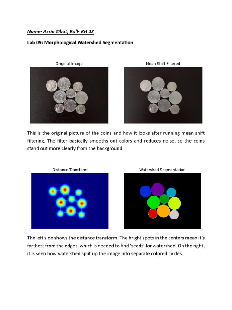 Watershed Segmentation | PDF